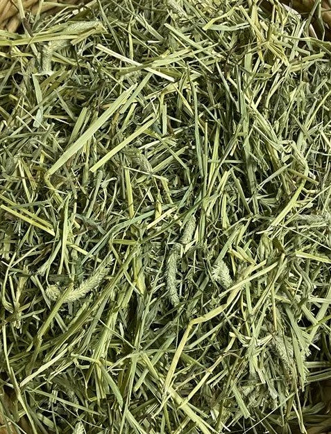 Canadian Timothy Hay-3 sizes – My Rabbit Stuff