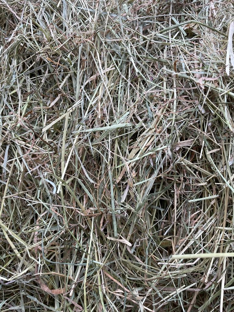 Hay samples- 4 types – My Rabbit Stuff