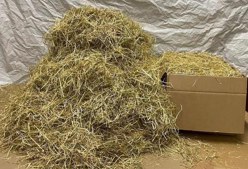 Large Box of English Timothy Hay-finest – My Rabbit Stuff